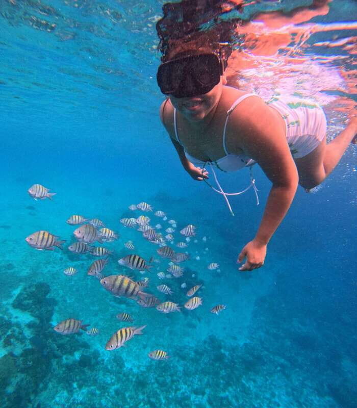 Snorkel along the coast with Chivis Del Mar. - An authentic Cozumel reef experience in a nutshell