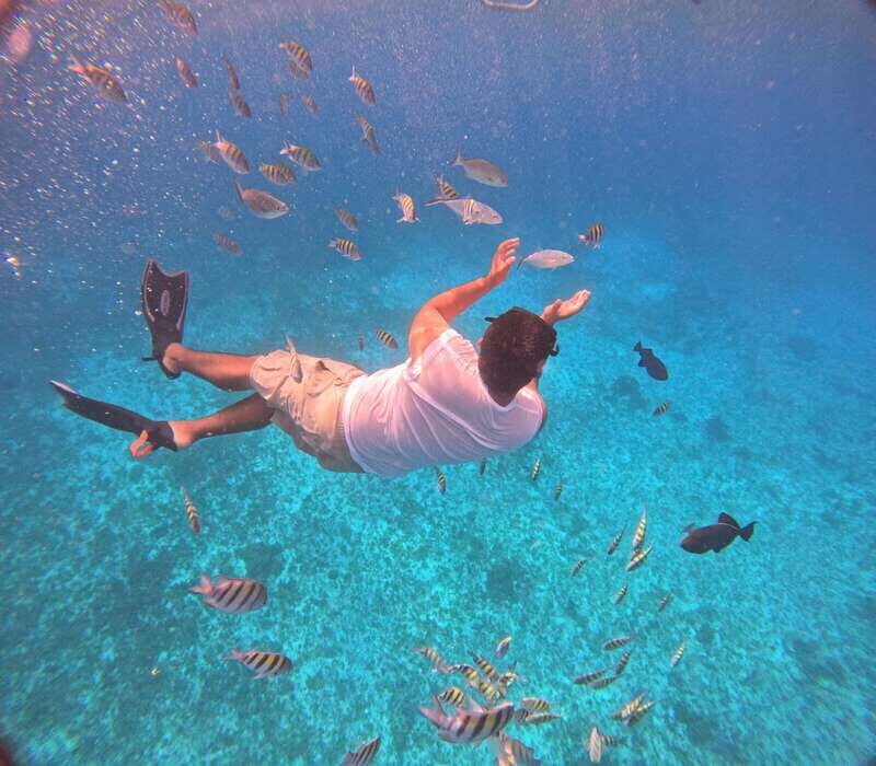 Snorkel along the coast with Chivis Del Mar. - Who will love this tour?