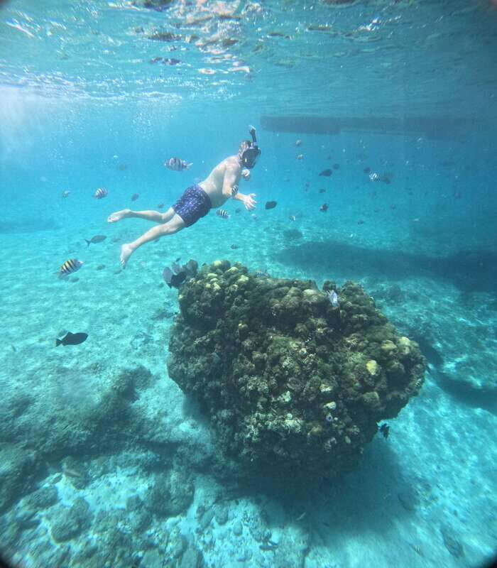 Snorkel along the coast with Chivis Del Mar. - Final thoughts