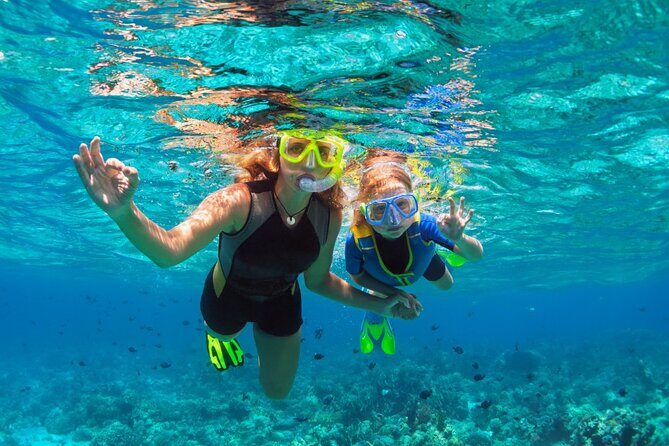 Snorkel and Cruise Half Day Morning on Serendipity - An In-Depth Look at the Tour Experience