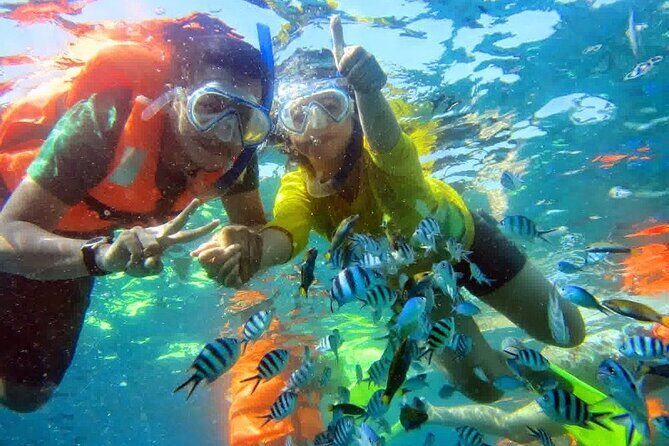 Snorkel and Private Tour in Montego Bay - The Sum Up: Who Should Consider This Tour?