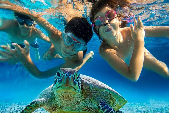 Snorkel and Sunset Cruise from Margaritaville Resort - The Sum Up