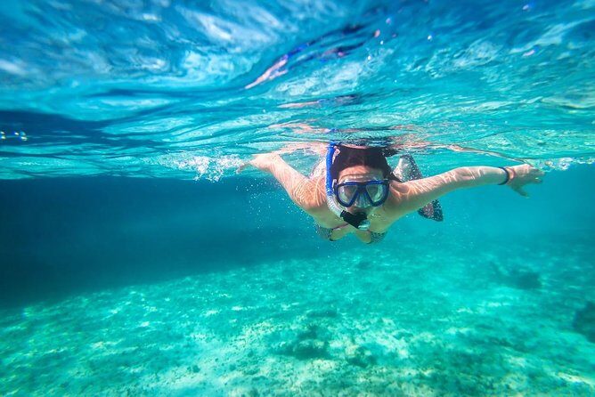 Snorkel and swim in Cozumel el Cielo Reef, Palancar and Colombia - What to Expect From This Cozumel Snorkeling Tour