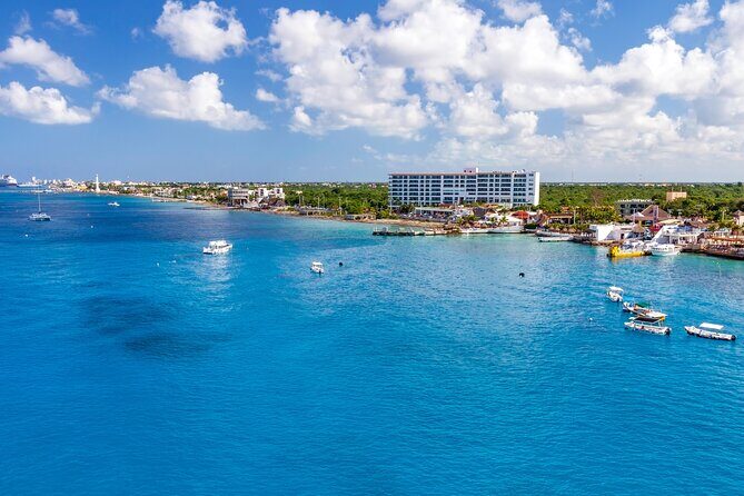 Snorkel and swim in Cozumel el Cielo Reef, Palancar and Colombia - Pricing and Value Analysis