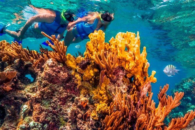 Snorkel and swim in Cozumel el Cielo Reef, Palancar and Colombia - Who Should Consider This Tour?