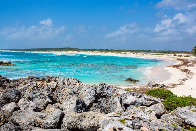 Snorkel and swim in Cozumel el Cielo Reef, Palancar and Colombia - Final Thoughts