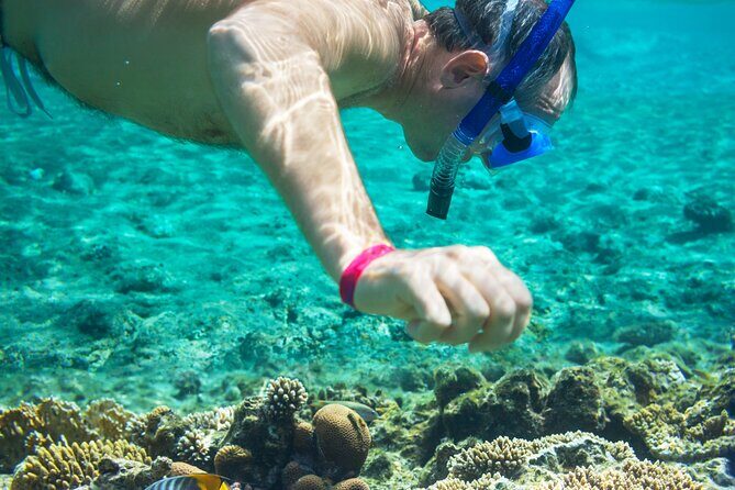 Snorkel and swim in Cozumel el Cielo Reef, Palancar and Colombia - FAQs