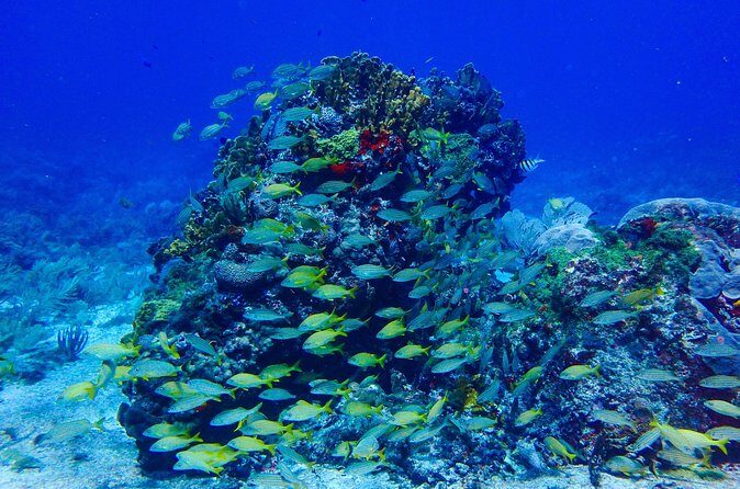 Snorkel at El Farito - The Lighthouse Reservation - Frequently Asked Questions (FAQs)