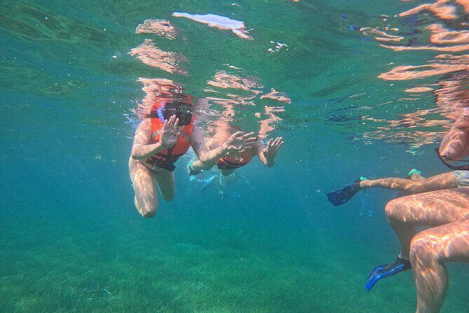 Snorkel at the Reef 2 HOURS Puerto Morelos National park - The Sum Up