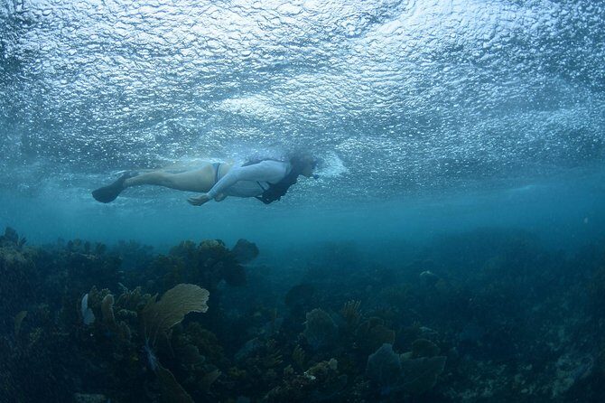 Snorkel, ATV, Zipline and Cenote Adventure from Cancun - Who Should Consider This Tour?