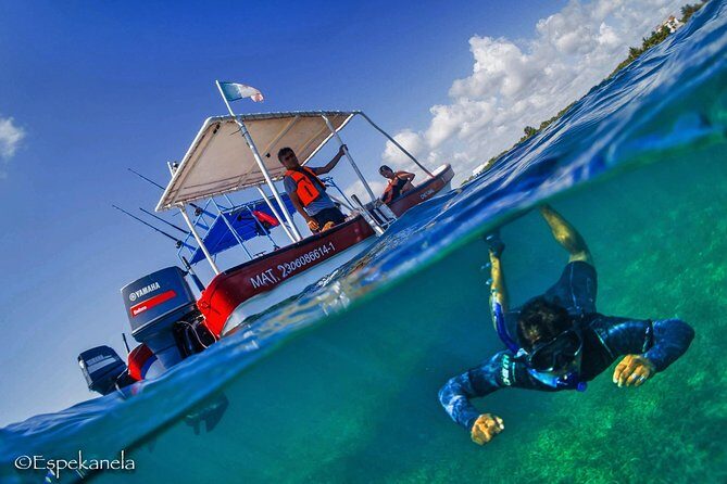 Snorkel boat tour in search of turtles - An In-Depth Look at the Snorkel Boat Tour