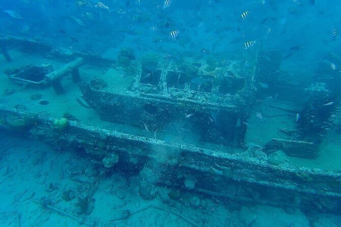 Snorkel boat trip: Sunken ship, old dutch fort & spanish bay - What Do Travelers Say?