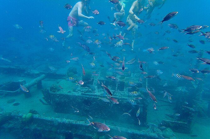 Snorkel boat trip: Sunken ship, old dutch fort & spanish bay - Frequently Asked Questions (FAQs)