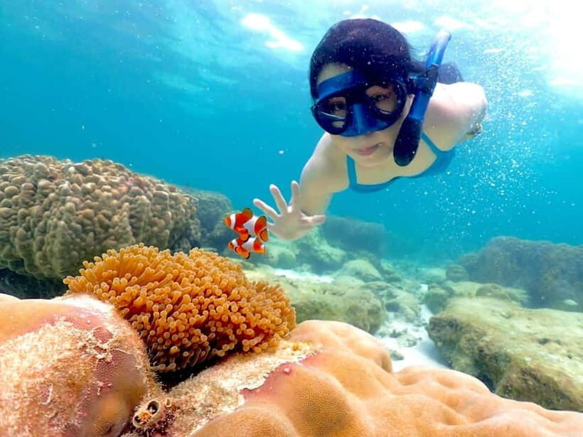 Snorkel & Chill: Nemo Island Trip from Pattaya - An Introduction to Nemo Island Snorkeling Trip