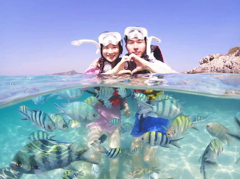 Snorkel & Chill: Nemo Island Trip from Pattaya - Price and Value