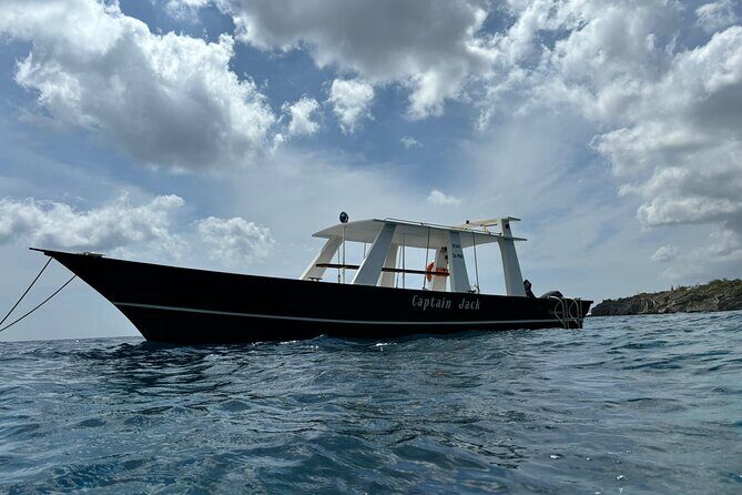 Snorkel Experience in Bonaire - Authentic Marine Encounters and Guides