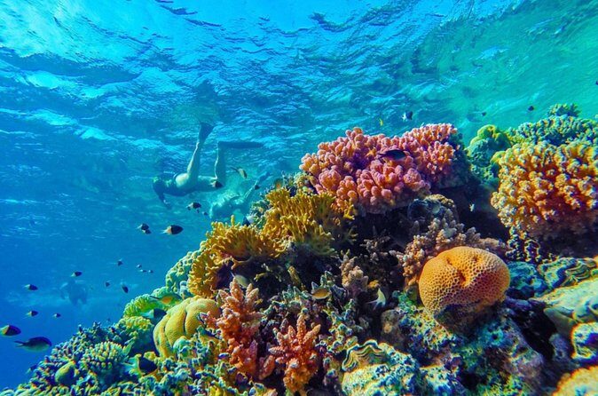 Snorkel Experience in Bonaire - Who Should Book This Tour?
