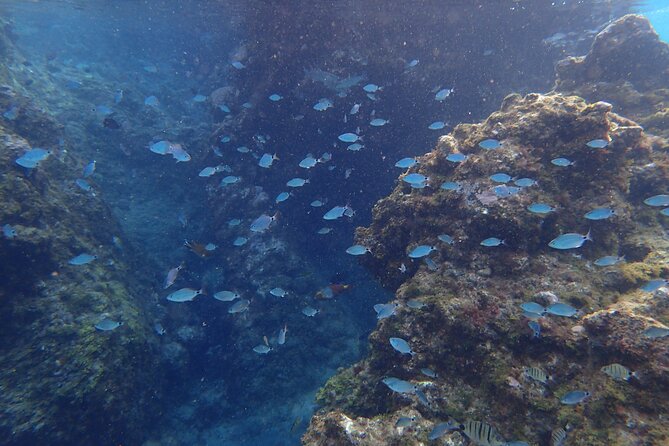 Snorkel Experience in Lanzarote - Flexible Cancellation and Rebooking Policy