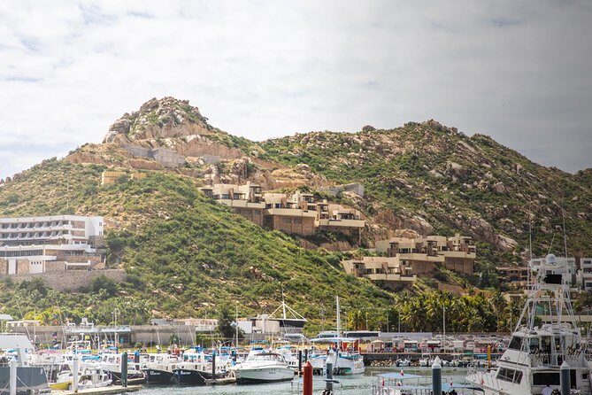 Snorkel & Explore Pelican Rock by Glass Boat + Photos - Reviews in Their Own Words