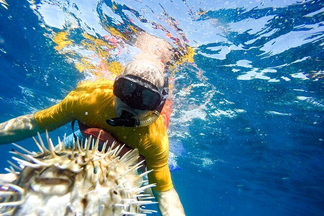 Snorkel & Explore Pelican Rock by Glass Boat + Photos - Who Will Love This Tour?
