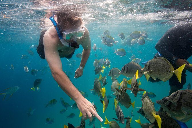 Snorkel & Explore Pelican Rock by Glass Boat + Photos - FAQ