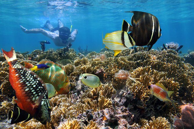 Snorkel Gears near Hanauma Bay - Authentic Experiences and Real Guest Perspectives