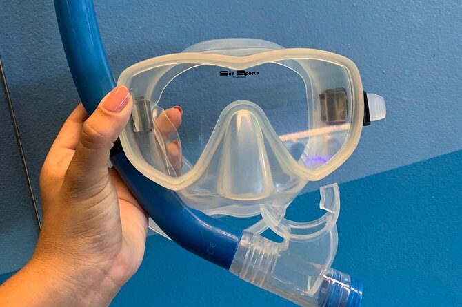Snorkel Gears near Hanauma Bay - The Practical Side: Pricing and Value