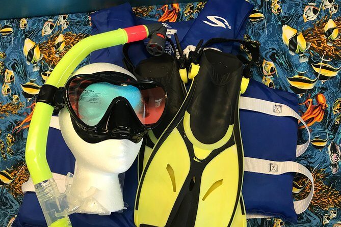 Snorkel Gears near Hanauma Bay - Considerations and Potential Drawbacks