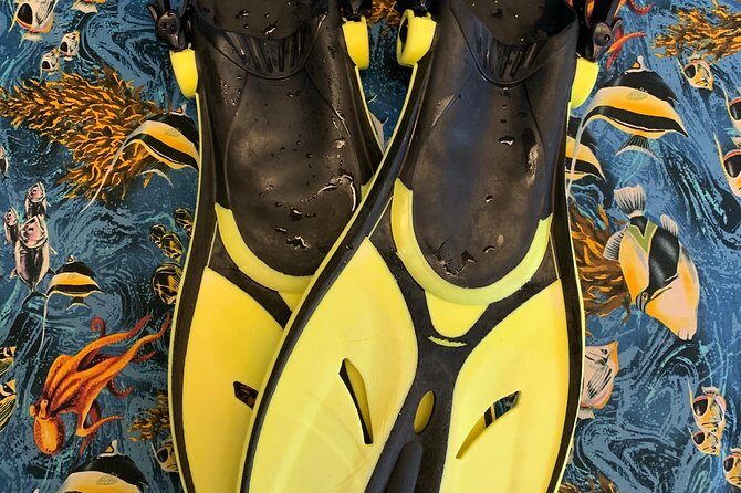 Snorkel Gears near Hanauma Bay - Who Should Consider This Snorkel Gear Rental?
