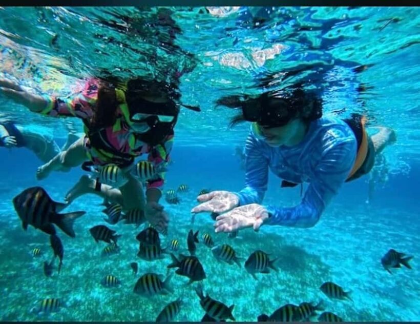 Snorkel in Cozumel and visit to El Cielo - Key Points