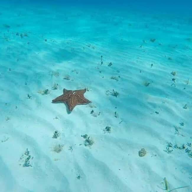 Snorkel in Cozumel and visit to El Cielo - Final Words