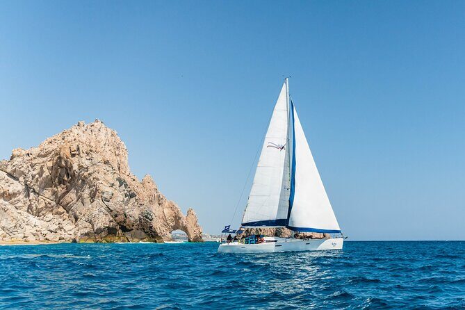 Snorkel in Luxury Sailing Boat + Food and Premium drink! - Who Will Love This Tour?