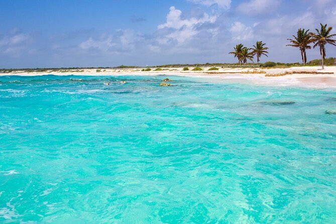 Snorkel in Paradise Cozumel El Cielito Palancar Reef Colombia - An Overview of the Snorkel in Paradise Tour