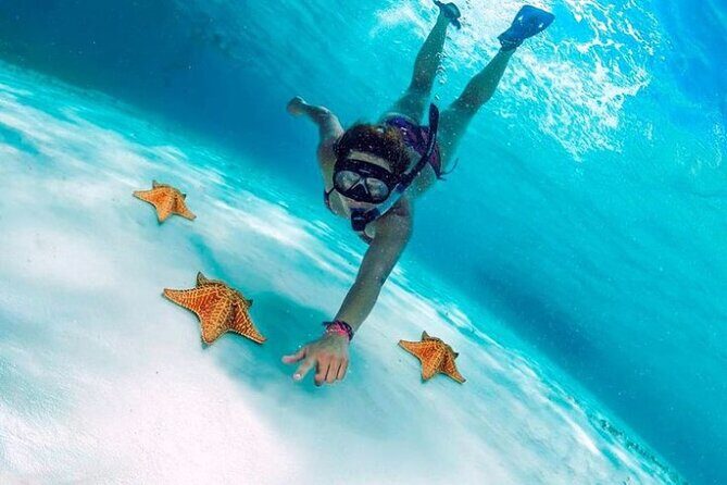 Snorkel in Paradise Cozumel El Cielito Palancar Reef Colombia - The Experience: What You Can Expect