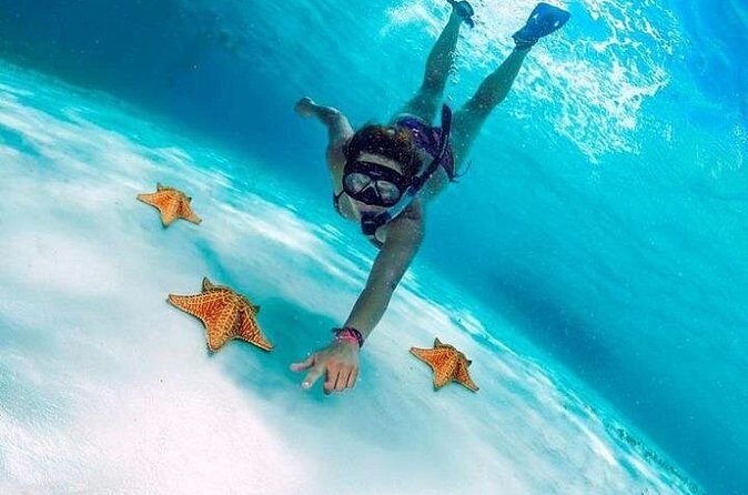 Snorkel in Paradise Cozumel El Cielito Palancar Reef Colombia - Practical Tips for Your Snorkel Adventure