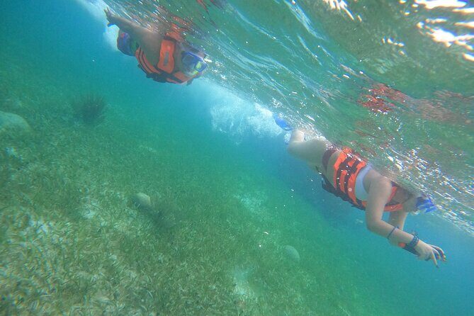 Snorkel in the beautiful reef of Puerto Morelos with transport - Who Should Consider This Tour?