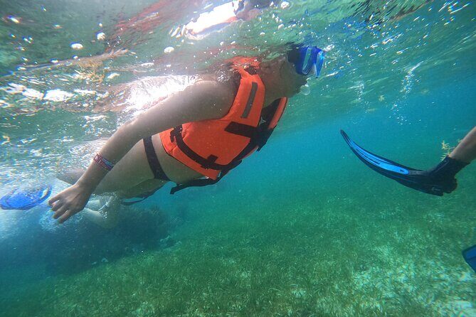 Snorkel in the beautiful reef of Puerto Morelos with transport - The Sum Up: Is It Worth It?