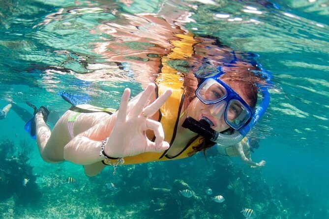 Snorkel in the second largest reef in the world Colorful tour in Puerto Morelos - Who Will Love This Tour?
