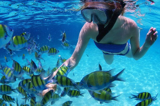 Snorkel in the second largest reef in the world Colorful tour in Puerto Morelos - The Sum Up