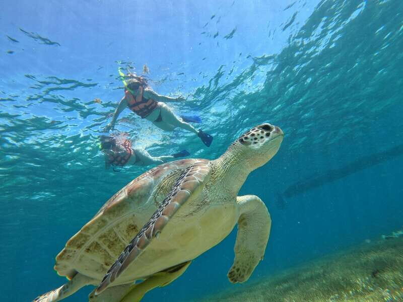 SNORKEL IN TULUM REEF, BOAT RIDE AND CALETA - The Experience from Start to Finish