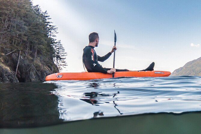 Snorkel, Kayak, and Seal Adventure: Vancouver Boat Tour - The Sum Up: Is it Worth It?