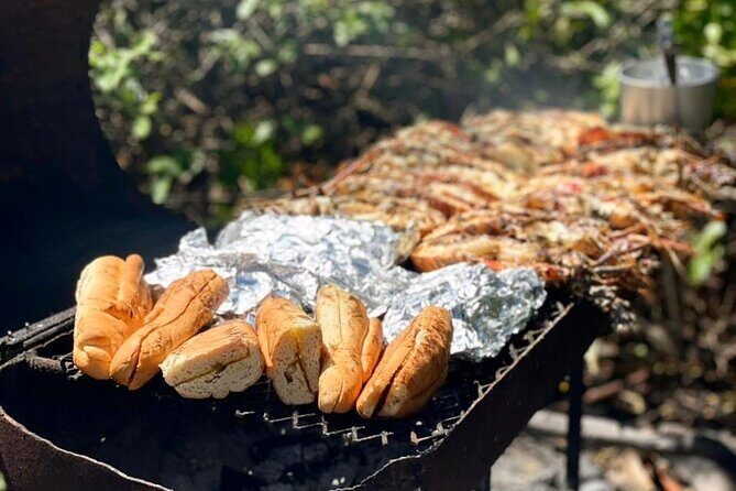 Snorkel - Lobster Lunch Cruise to Bird Island and Paradise Reef - Who Will Love This Tour?