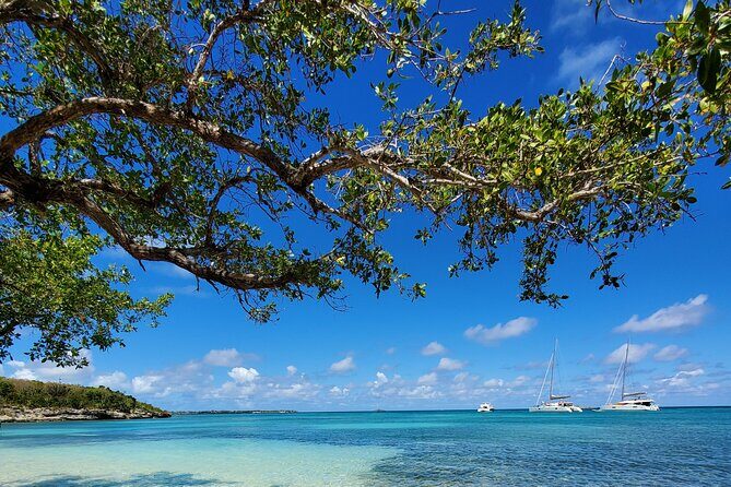 Snorkel - Lobster Lunch Cruise to Bird Island and Paradise Reef - FAQs