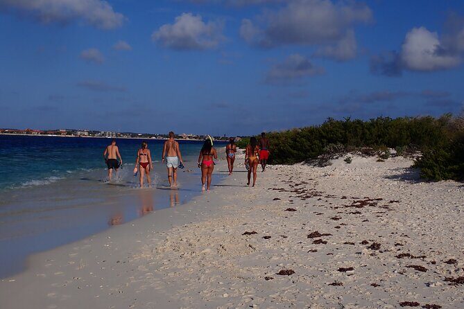 Snorkel marathon - Evaluating the Value: Is It Worth It?