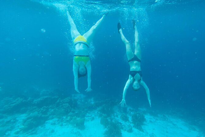 Snorkel marathon - FAQ: Your Questions Answered