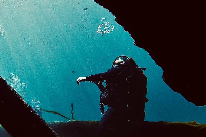 Snorkel Or Dive The Amazing Rainbow River Florida - Customer Experiences and Feedback