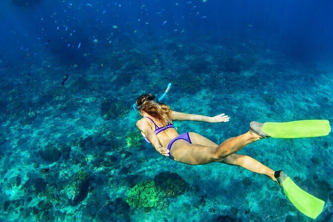 Snorkel & Parasail from Cancun - Frequently Asked Questions
