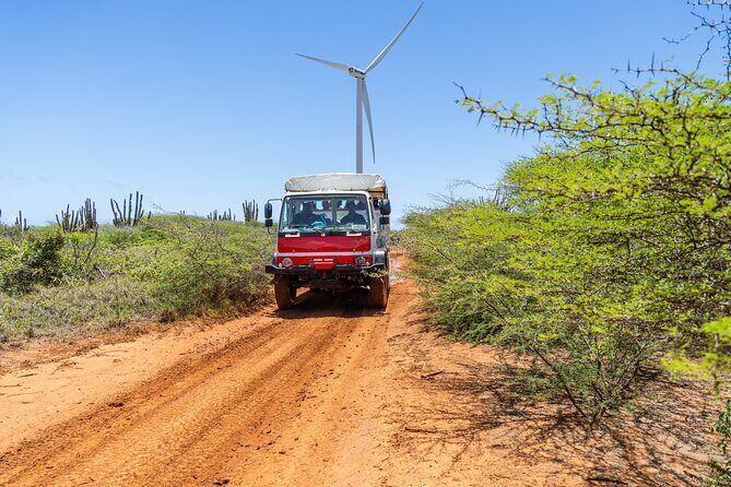 Snorkel Safari Tour - Key Points