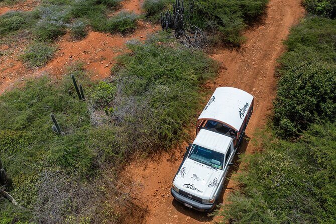 Snorkel Safari Tour - An In-Depth Look at the Snorkel Safari Experience