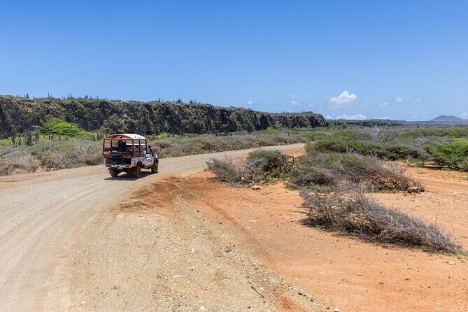 Snorkel Safari Tour - In Summary: Is It Worth It?